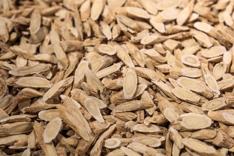 8 herbs that boost your immune system naturally