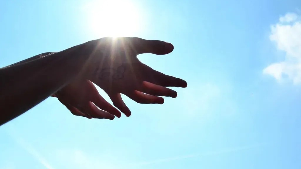 Why sunlight is still the best thing in any home