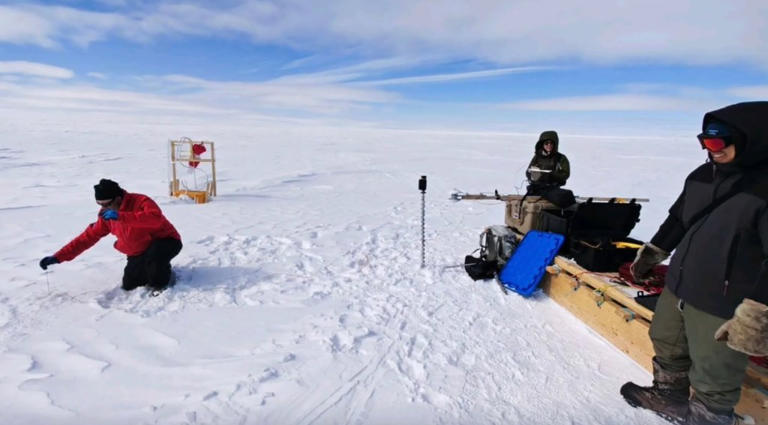 How scientists are using underwater drones to thicken rapidly melting ...