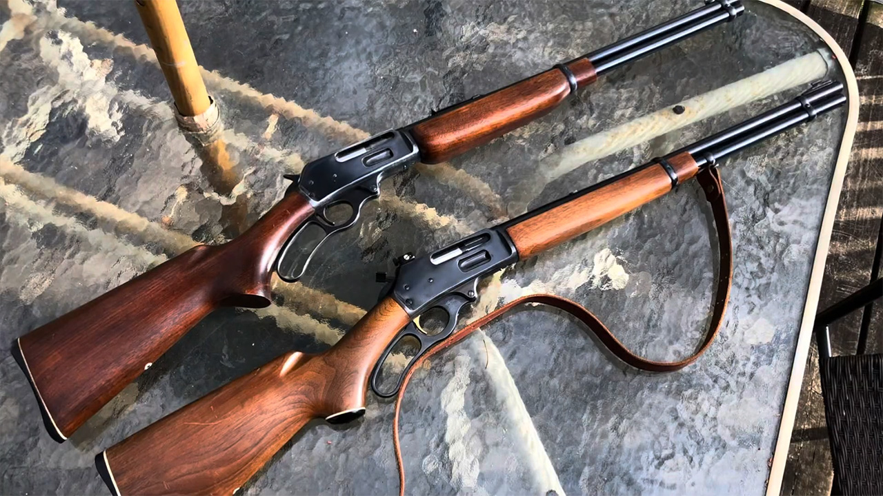 15 rifles that looked plain until hunters started hoarding them
