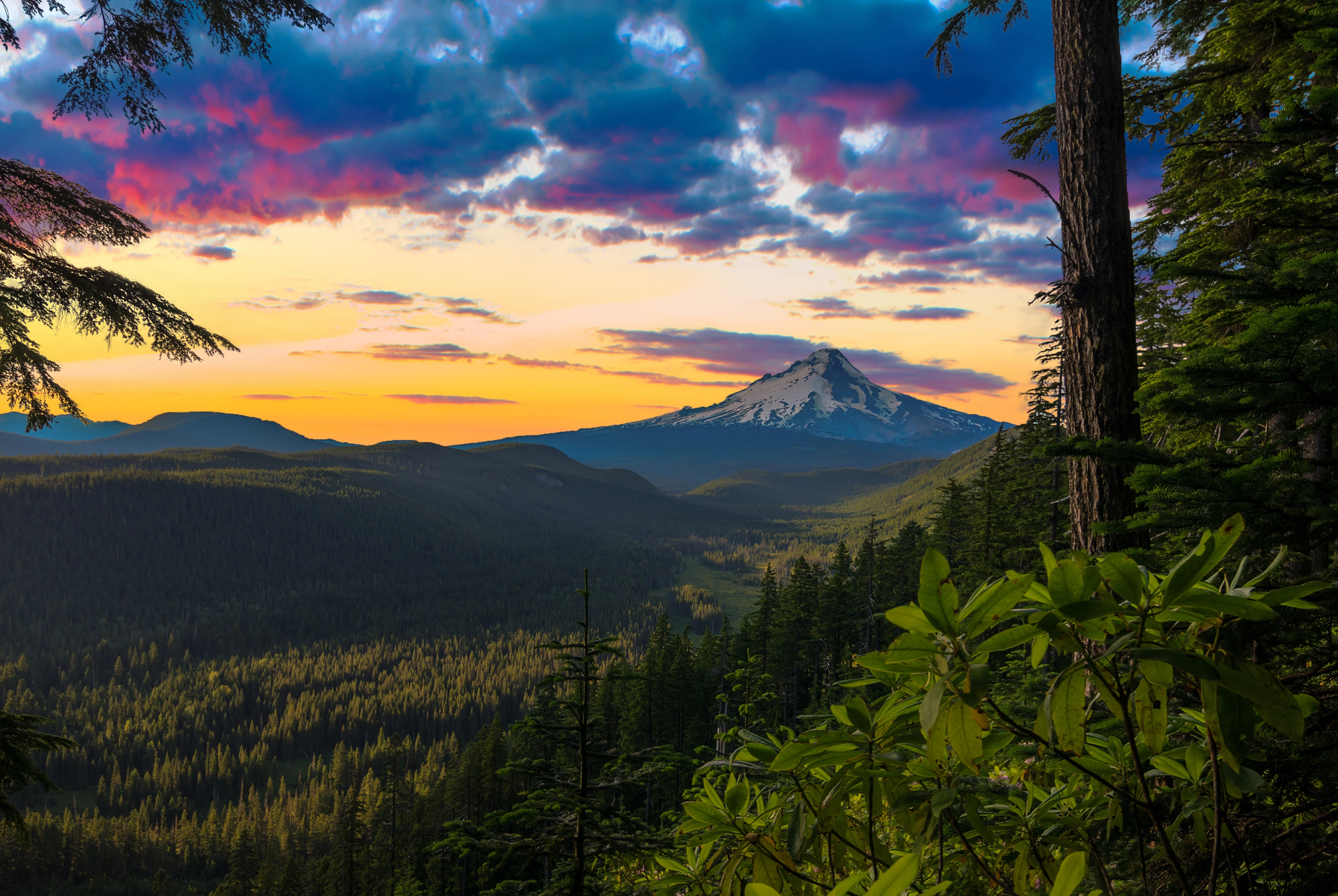 17 mountain peaks that were climbed for scientific research