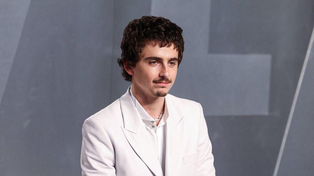 Timothée Chalamet at center of faked ballet pictures trolling amid ...