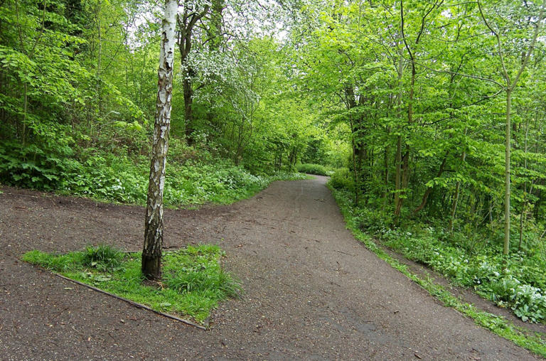 Boy, 4, abducted in park in front of mother