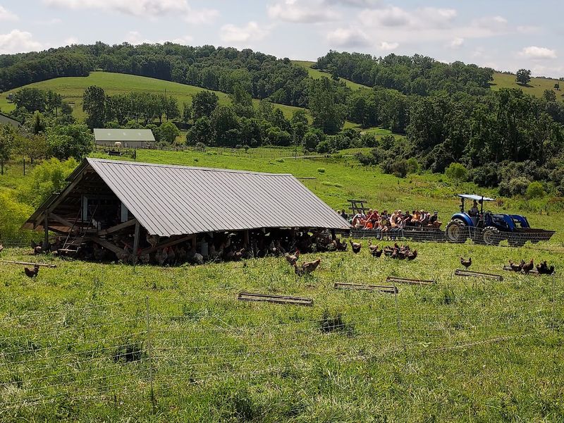 The world-renowned Virginia homestead where you can buy fresh ...