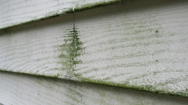The simplest way to clean and remove algae from your home's siding