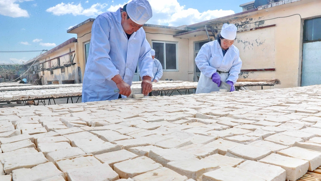 Fermented tofu: History, varieties, and culinary uses