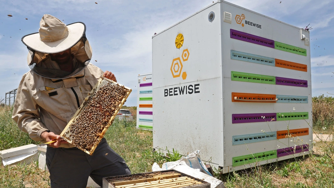 Robotics advancing global bee conservation