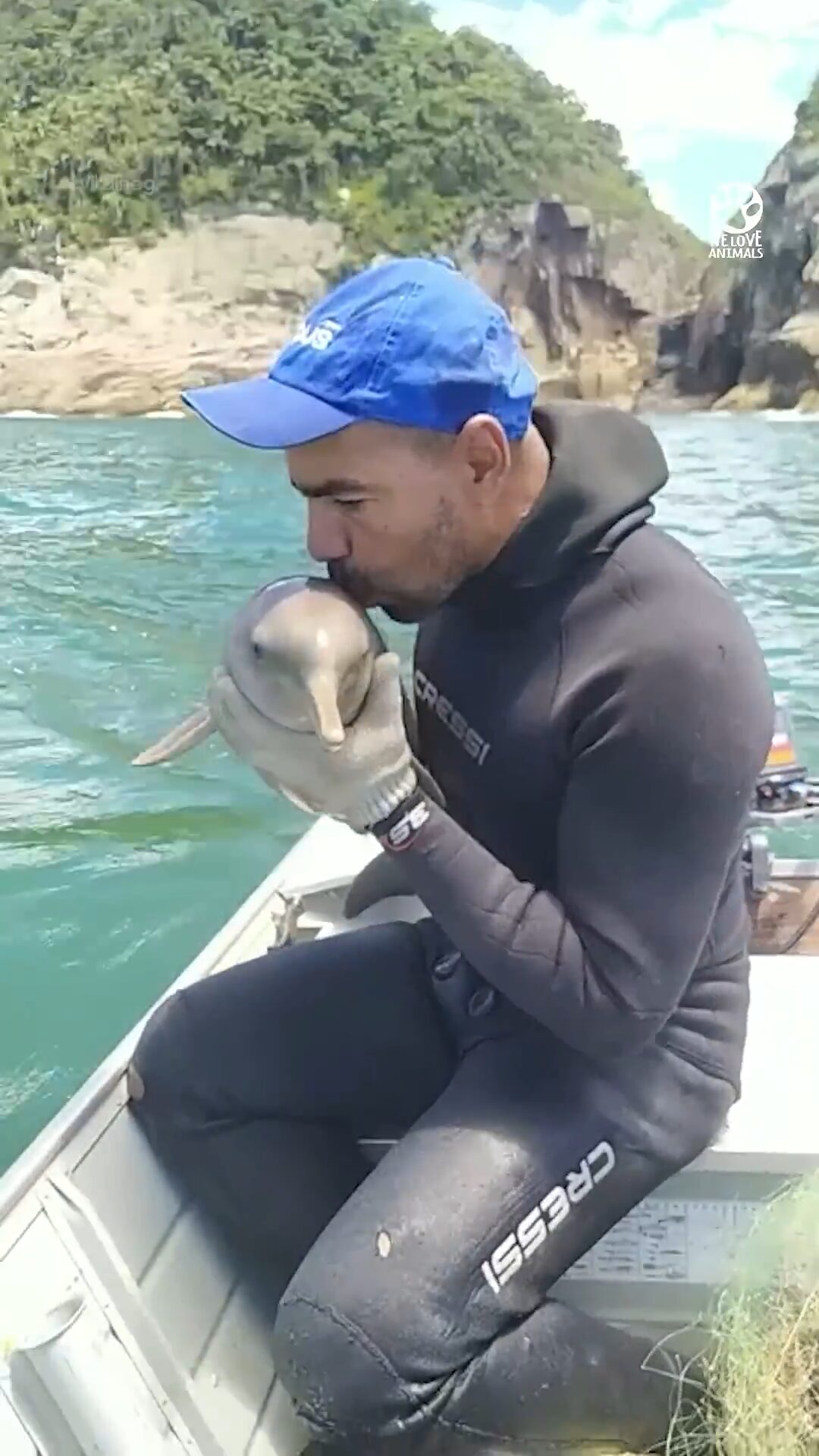 He saved a baby dolphin 🥹 ️