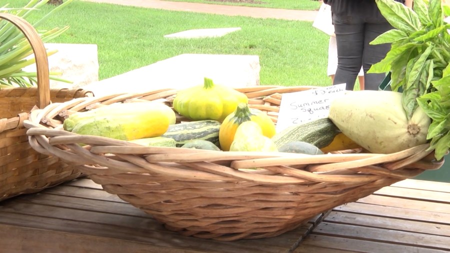Arkansas invests $5M in food science innovation center