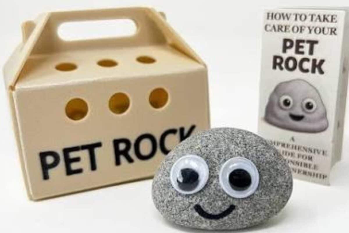A rock, a fart jar and dog sunglasses: 10 ridiculous ideas that made ...