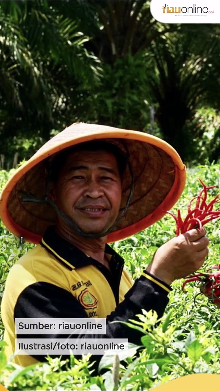 Bertahan di tengah tantangan, kelompok tani Asa Baru tumbuh lewat ...