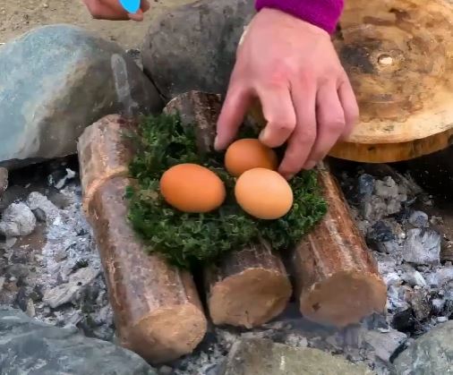 Creative cooking adventures in nature