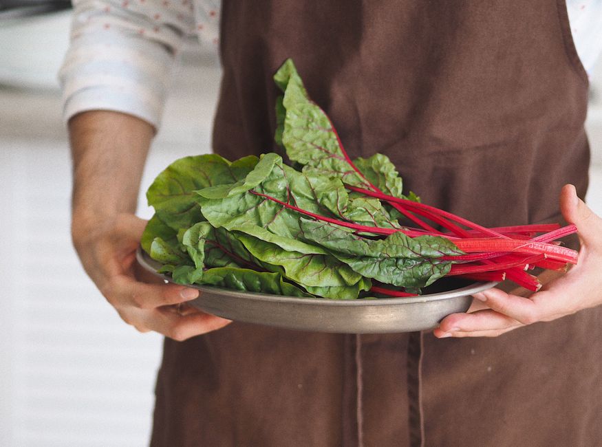The basics of planting and growing Swiss chard