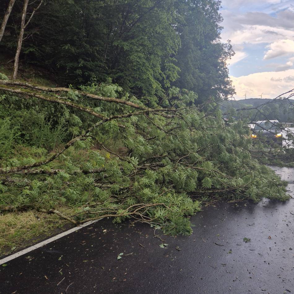 Hitzewelle und Gewitter: Bäume stürzen in der Eifel um