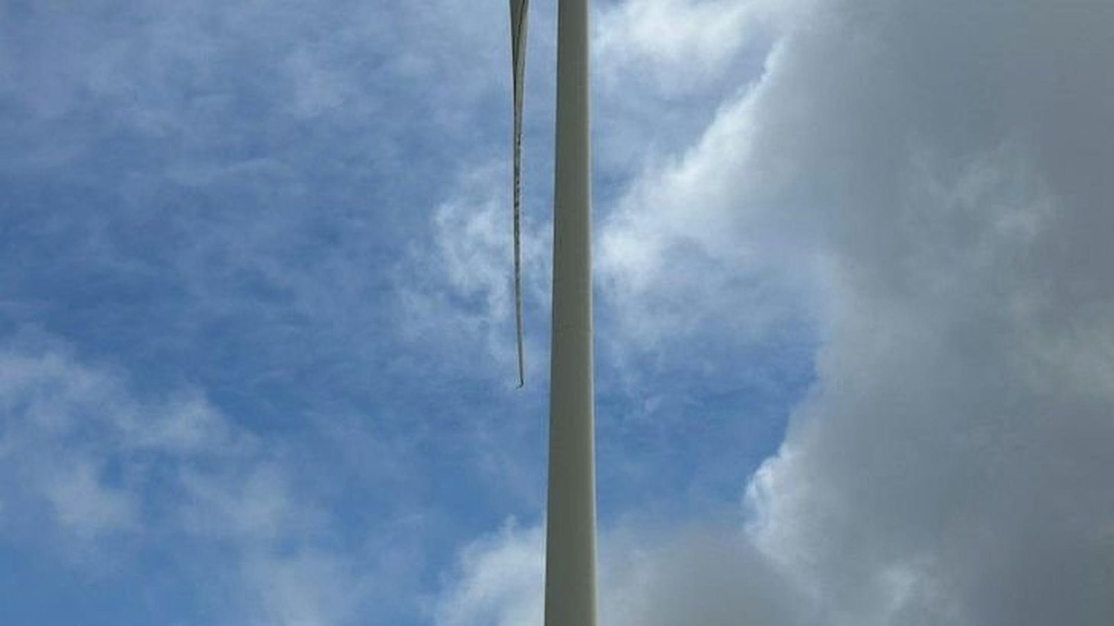 Offshore wind farms: Giants of the clean energy transition