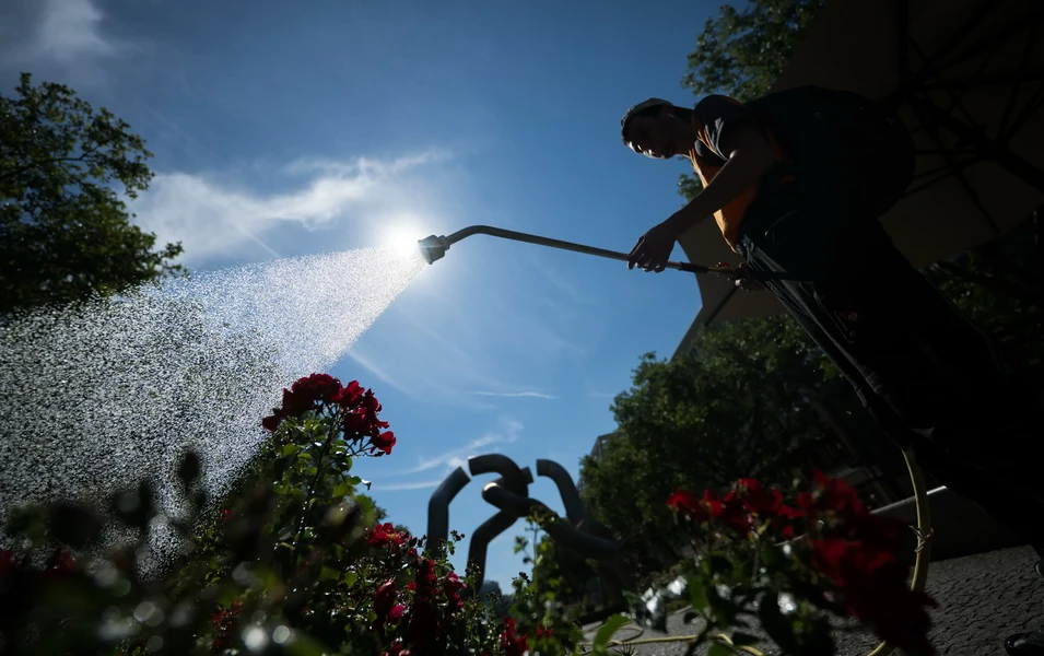 Experts stress deep, timely watering to protect plants in heat
