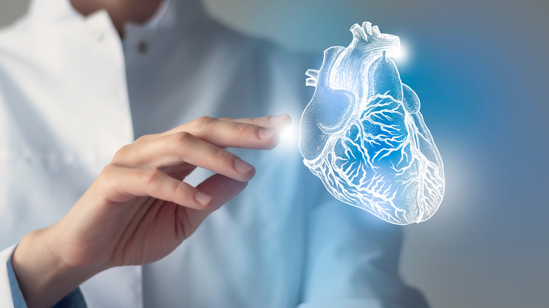 Everything you need to know about cholesterol