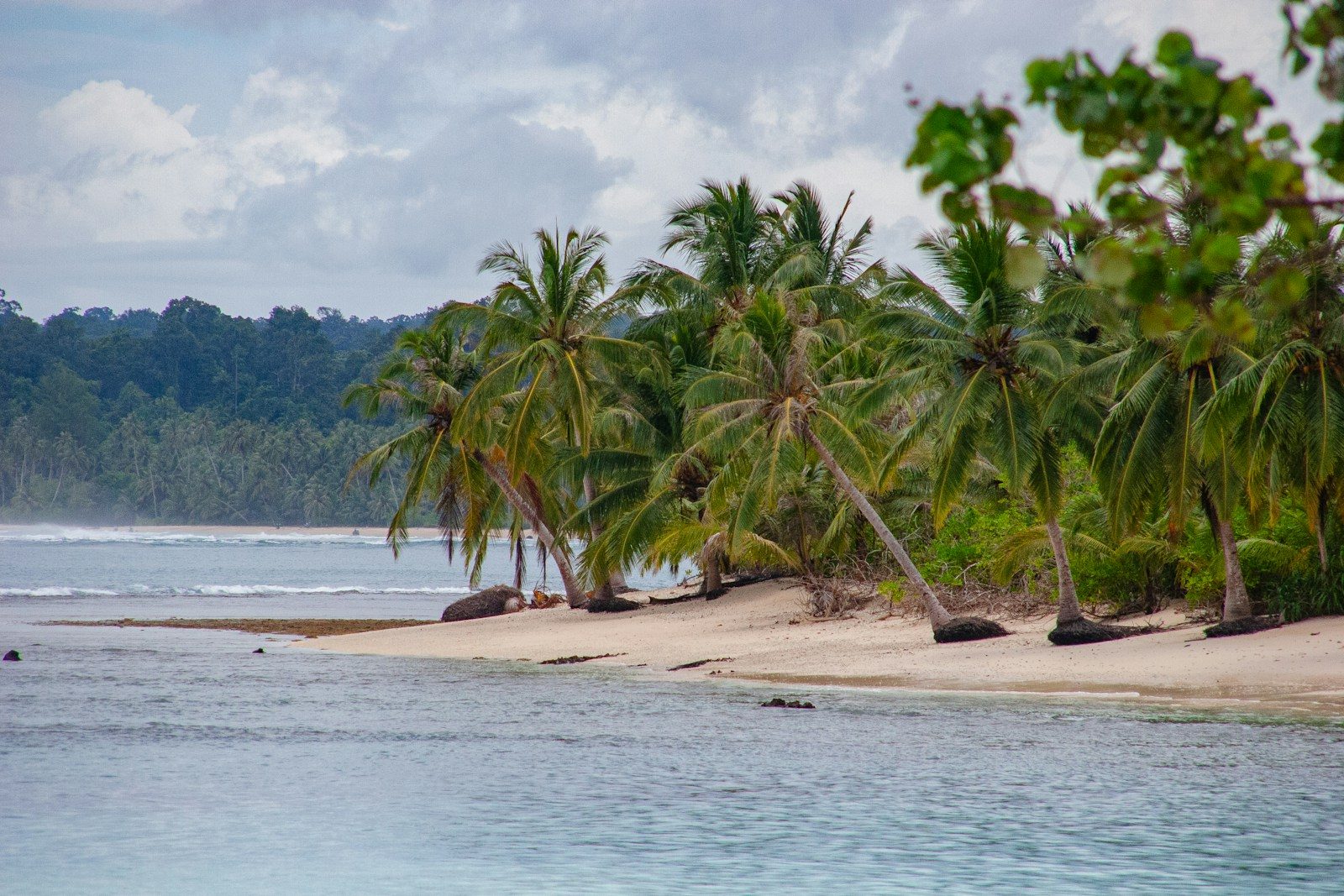Why this forbidden island must remain completely isolated