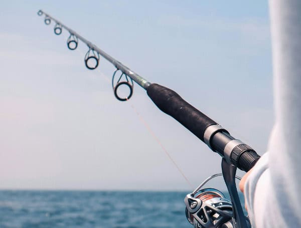 Hook, line, and sinker: Florida boat captain busted spearfishing next ...