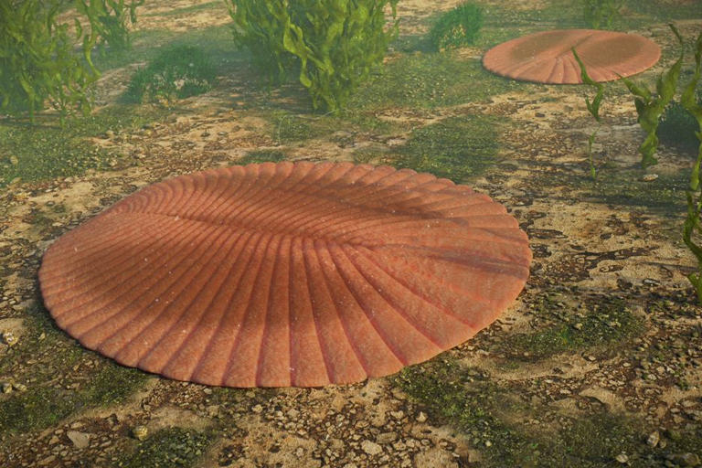 Earth’s early life was terrible at sex, say scientists