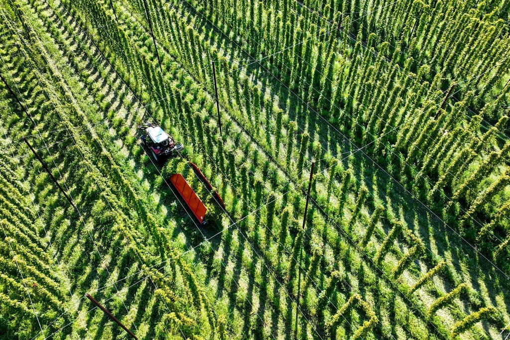 Sinkender Bierkonsum hat Folgen: „Die Stimmung ist derzeit schlecht“