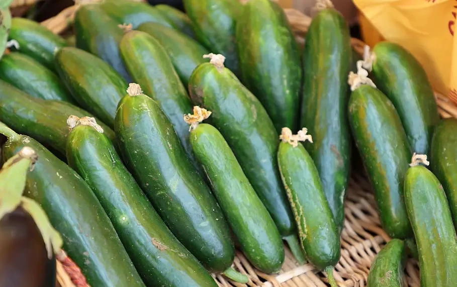 Cool cucumber recipes you’ll crave all summer