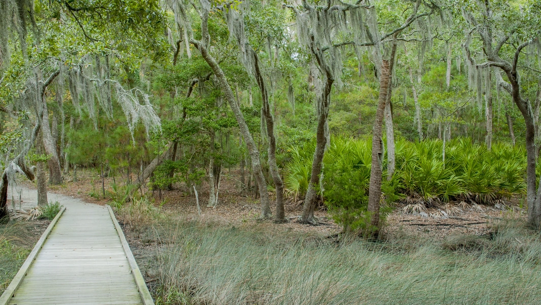 Exploring coastal South Carolina's natural and cultural treasures