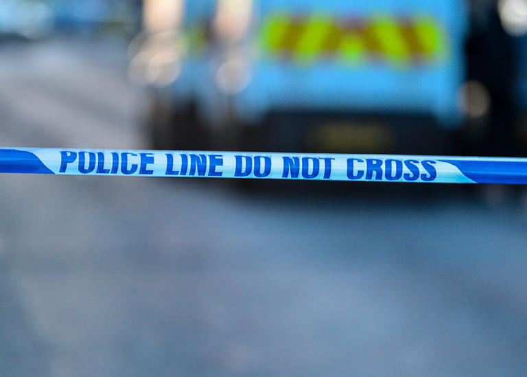 Two men arrested following reports of aggravated vehicle taking and ...