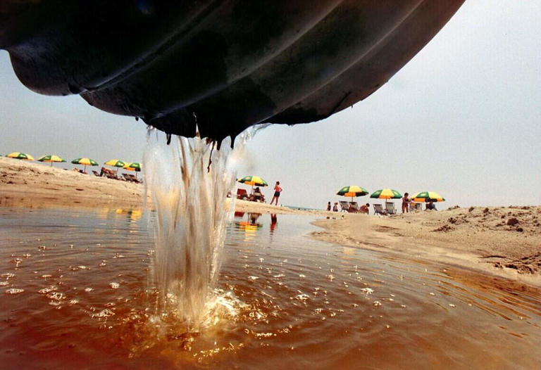 Disease-carrying germs soar at beaches, popular swimming holes after ...