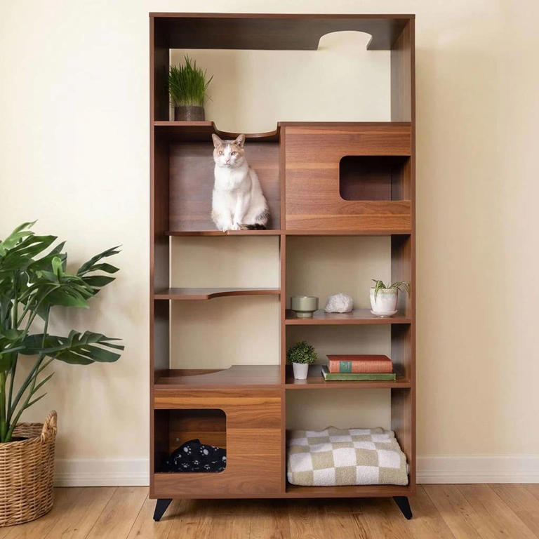 Discover Costco's stylish cat tree bookshelf that's perfect for cats ...