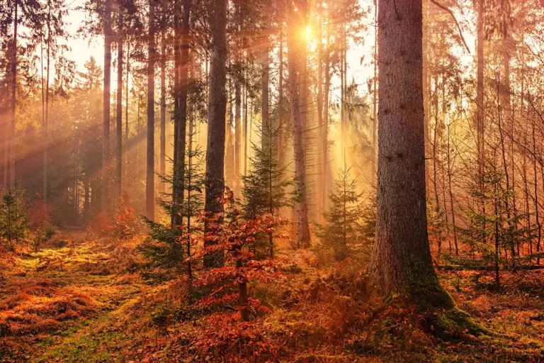 Book these hikes early to ensure you see the most stunning fall colors ...