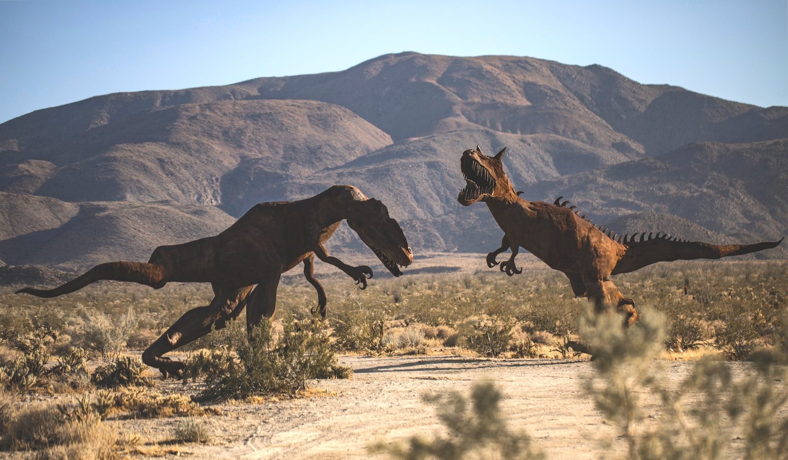 The real animals behind mythical creatures revealed by nature