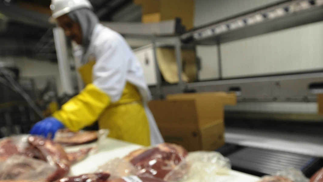Why ethical and transparent dog food matters
