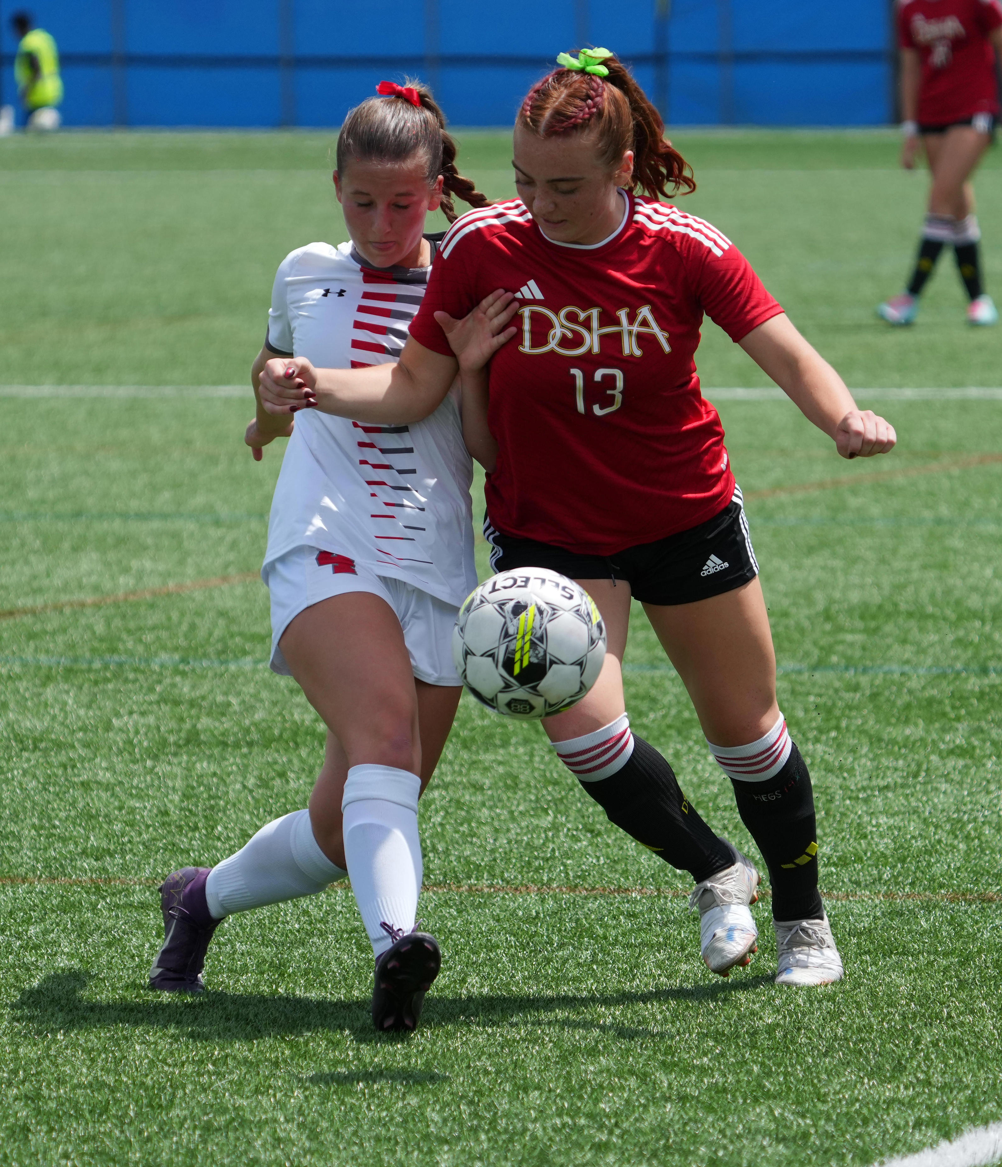 DSHA halts Muskego's reign to win sixth WIAA girls soccer state title