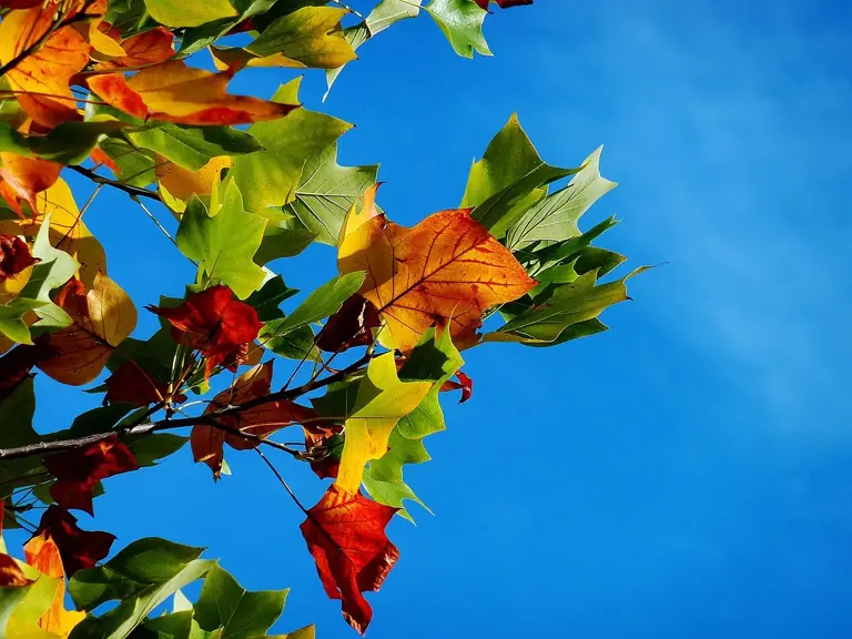 Book these hikes early to ensure you see the most stunning fall colors ...