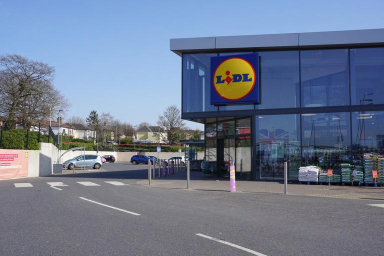Say goodbye to heavy legs in the summer, Lidl is selling a £12.99 ...
