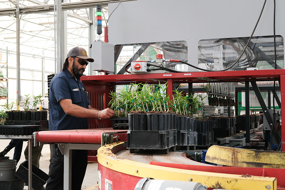 Labor expenses push farmers to automate