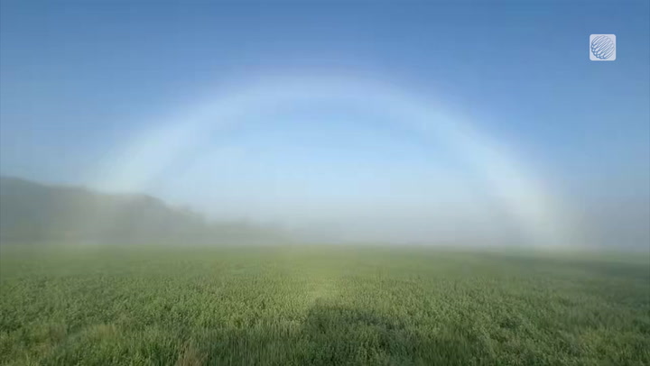 Stunning fog bow captured over Manitoba field
