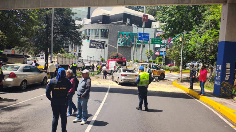 Lluvia y viento barren con árboles en varios puntos de CDMX
