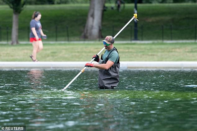 Three-time Olympian is arrested for allegedly damaging Reflecting Pool