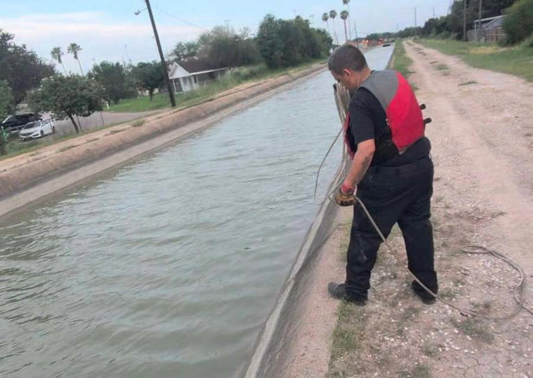 Mission Fire Department rescues six dogs from canal