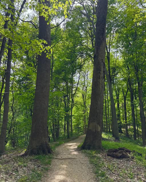 John James Audubon State Park to host guided hike