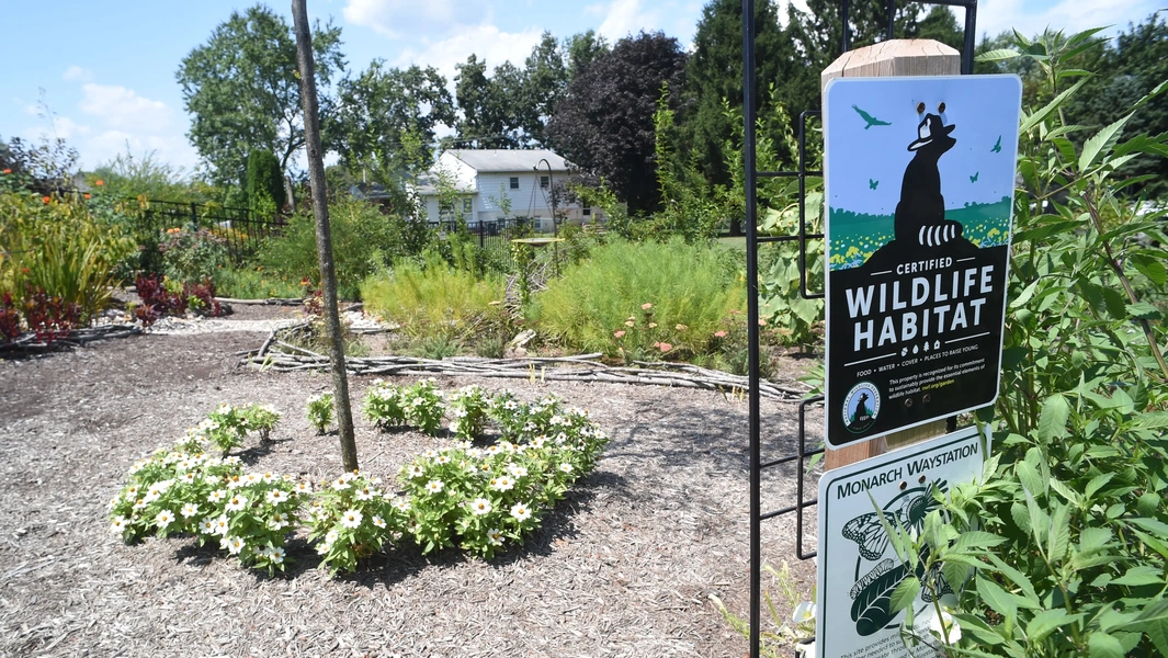 18 engaging wildlife habitat projects for kids