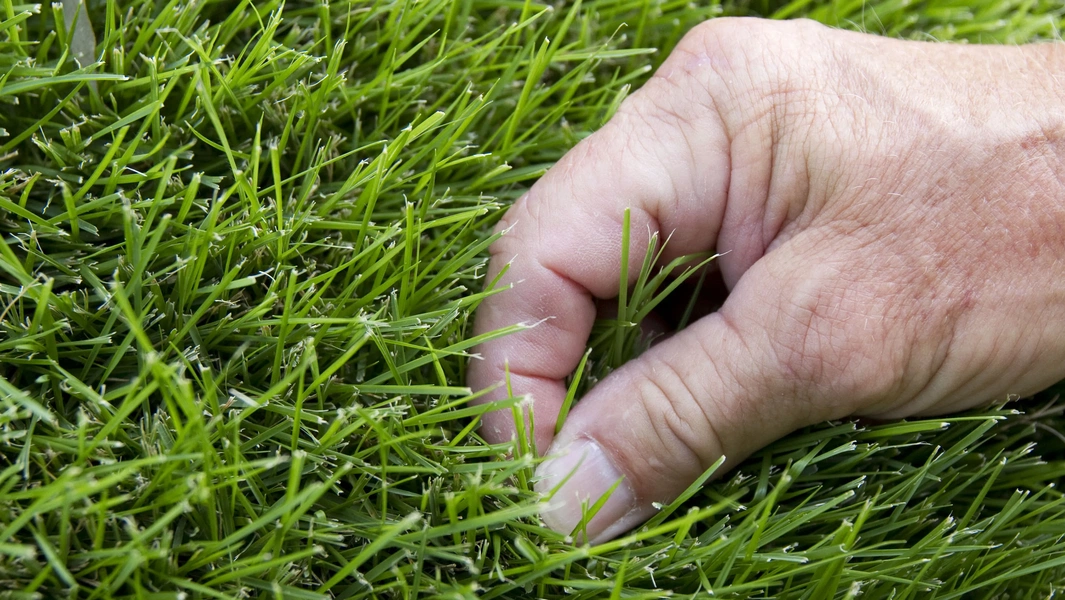 Efficient lawn watering for healthy grass