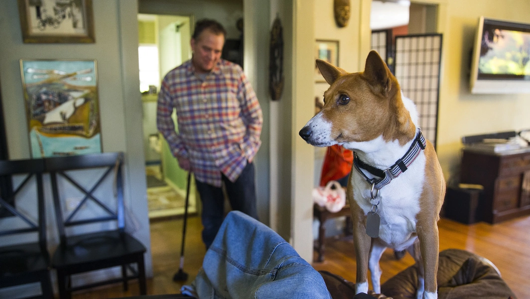 Understanding clingy dog behavior and care