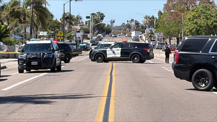 Heavy police presence in Nestor after alleged burglary