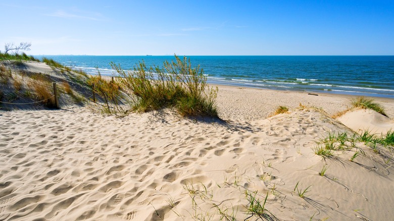 The Midwest's 10 most beautiful beaches for warm-weather summer fun on ...