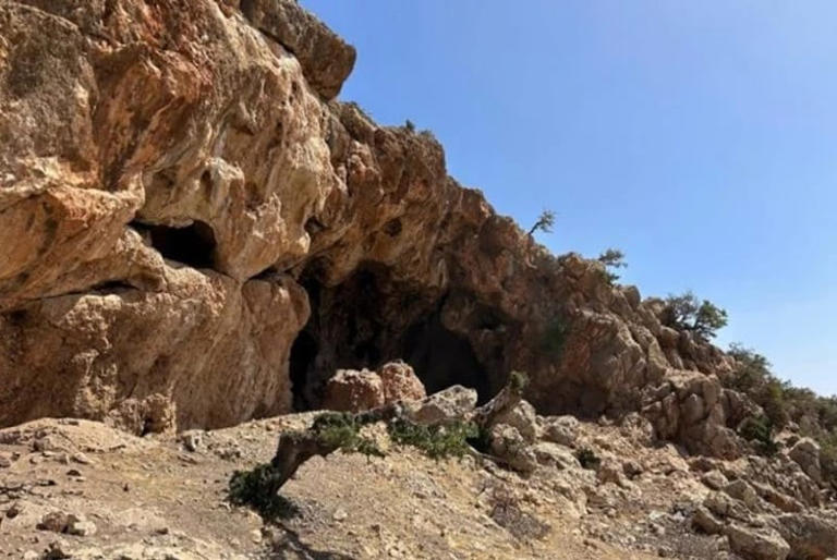 Hundreds of animal bones and dozens of human-made stone tools found ...
