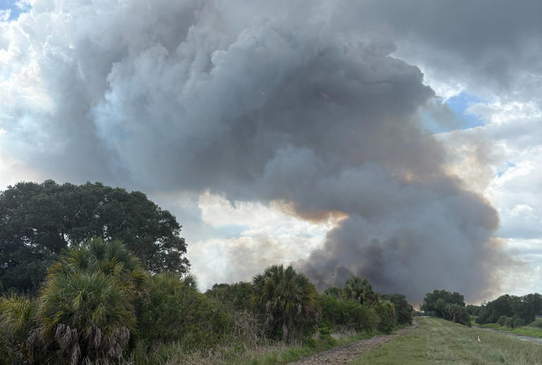 Belmont man intentionally set brush fires during burn ban, reports say