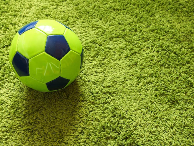 FIFA World Cup 2026: Team USA coming to San Francisco Bay Area for ...